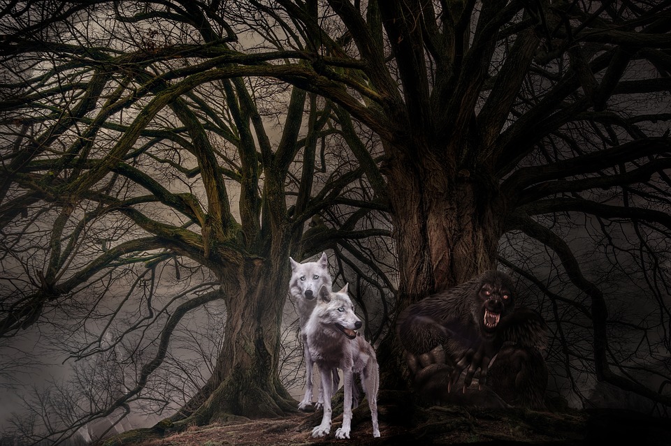 Exploring Real Werewolf Spells: Can They Make You Transform?