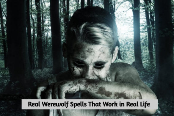 Exploring Real Werewolf Spells: Can They Make You Transform?